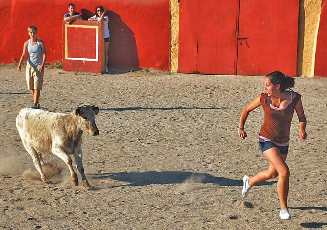 Stephanie's Bull Flight, Spain. By John Bermont.